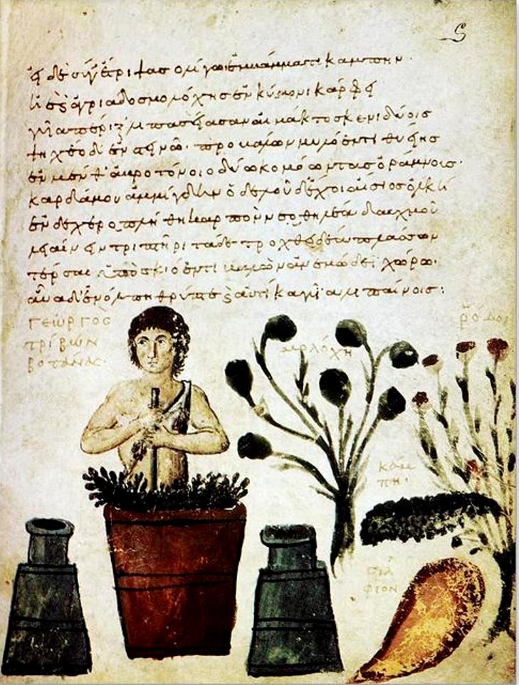 Η ΙΑΤΡΙΚΗ ΣΤΟ ΒΥΖΑΝΤΙΟ | Ἑλληνοϊστορεῖν-Ἑλληνικὸ Ἡμερολόγιο